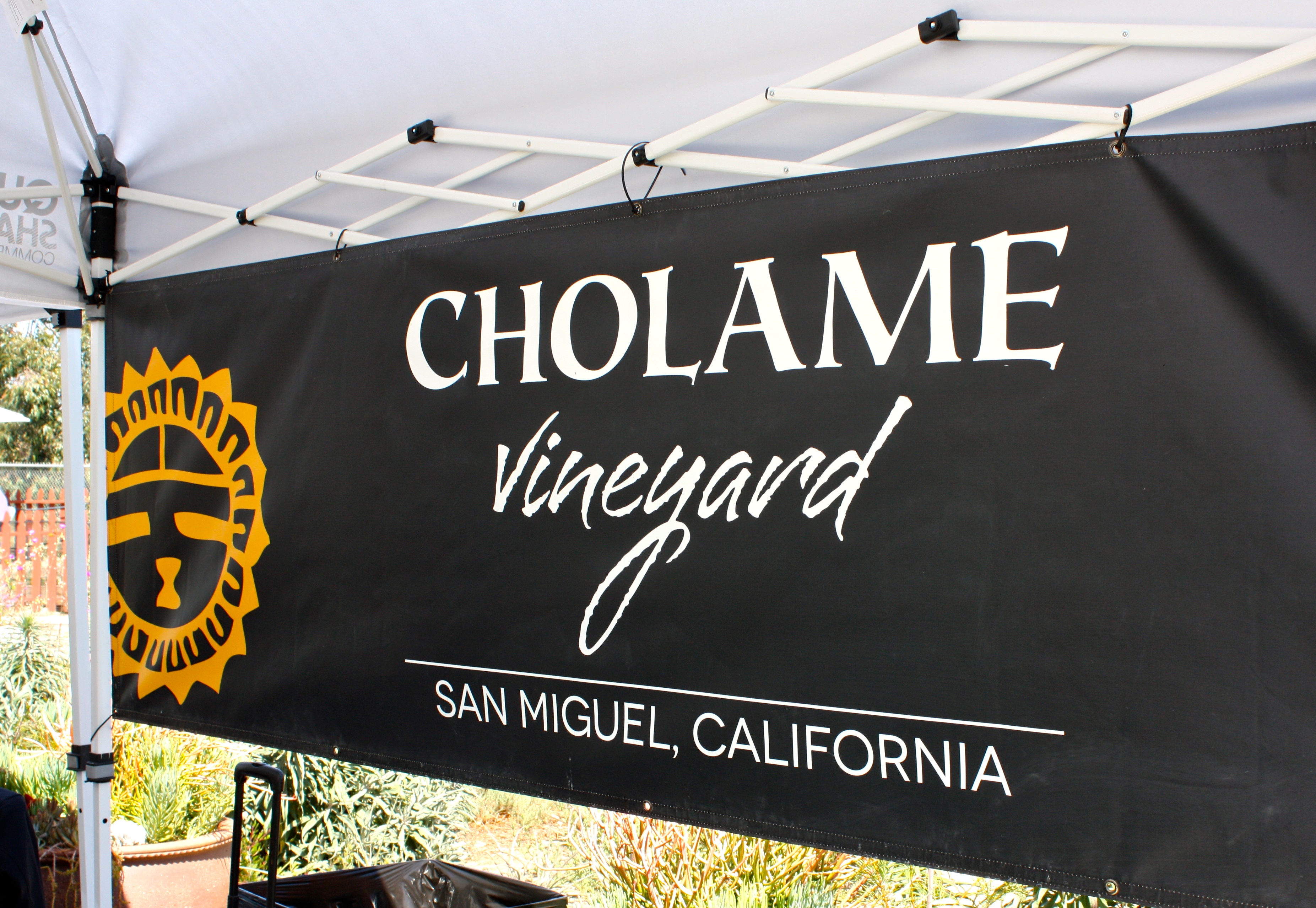 Wine-ding Road – Dedicated to the discovery & advocacy of great wines