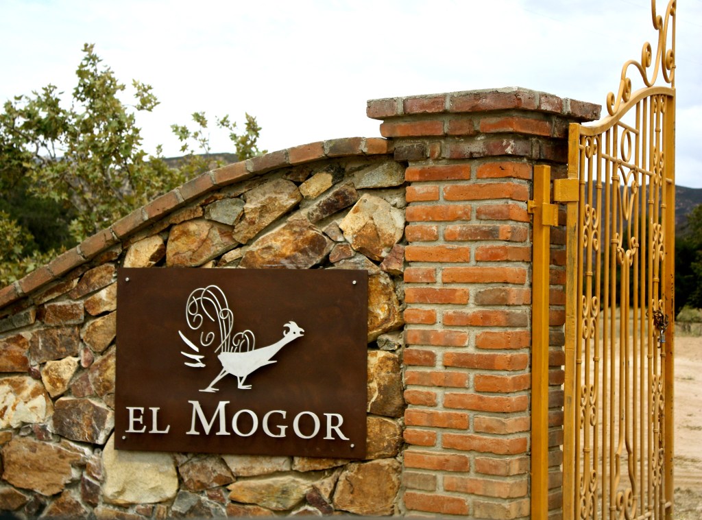 Deckman’s en El Mogor & Mogor Badan Winery | El Valle de Guadalupe ...