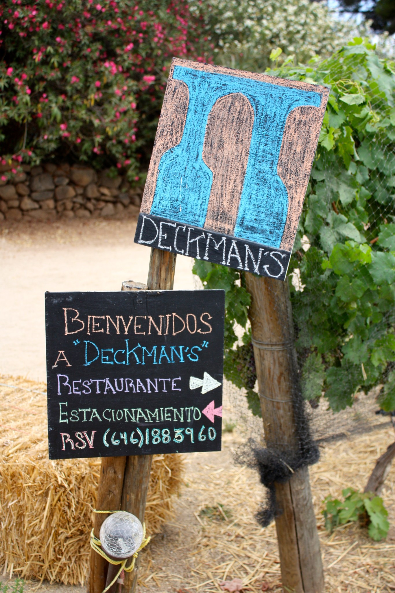 Deckman’s en El Mogor & Mogor Badan Winery | El Valle de Guadalupe ...