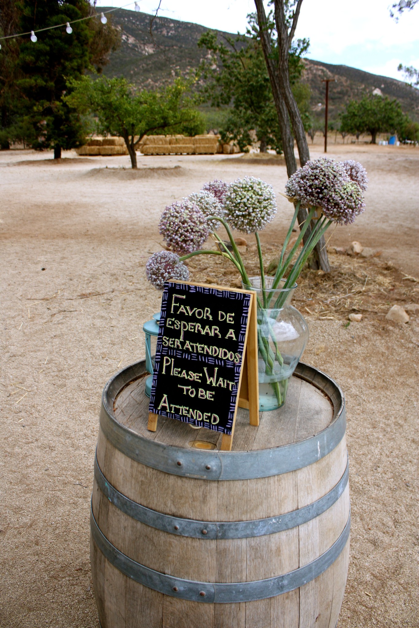 Deckman’s en El Mogor & Mogor Badan Winery | El Valle de Guadalupe ...