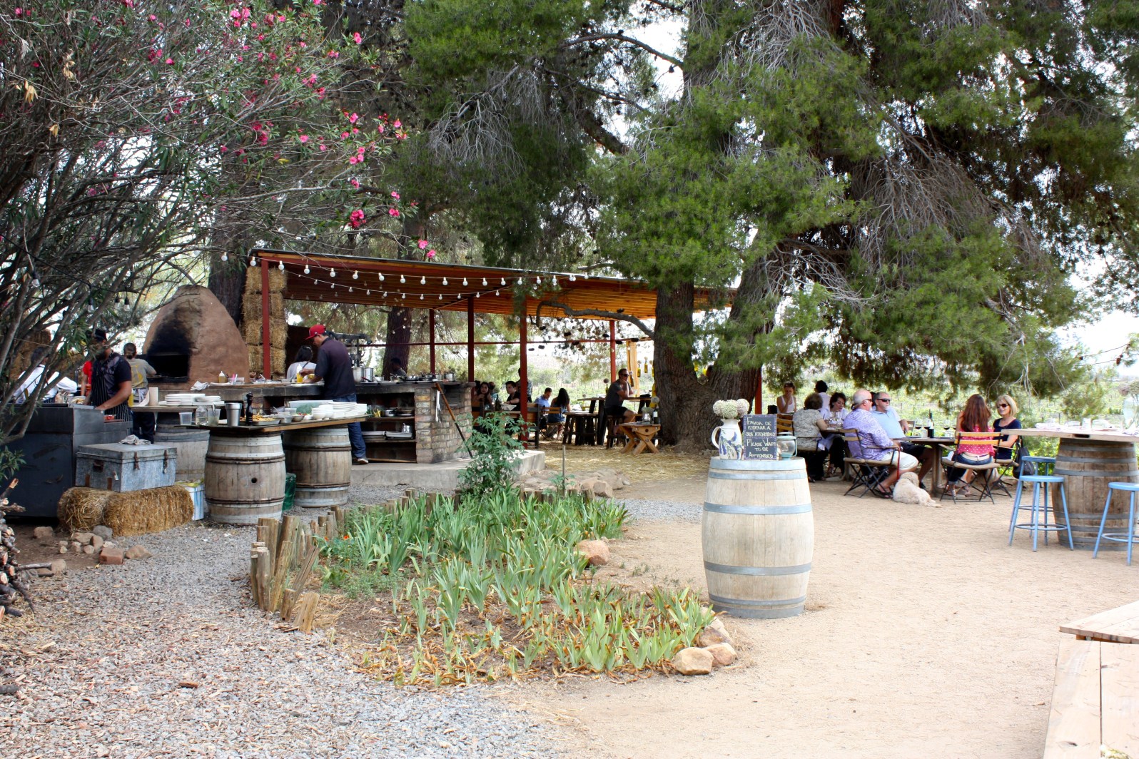 Deckman’s en El Mogor & Mogor Badan Winery | El Valle de Guadalupe ...