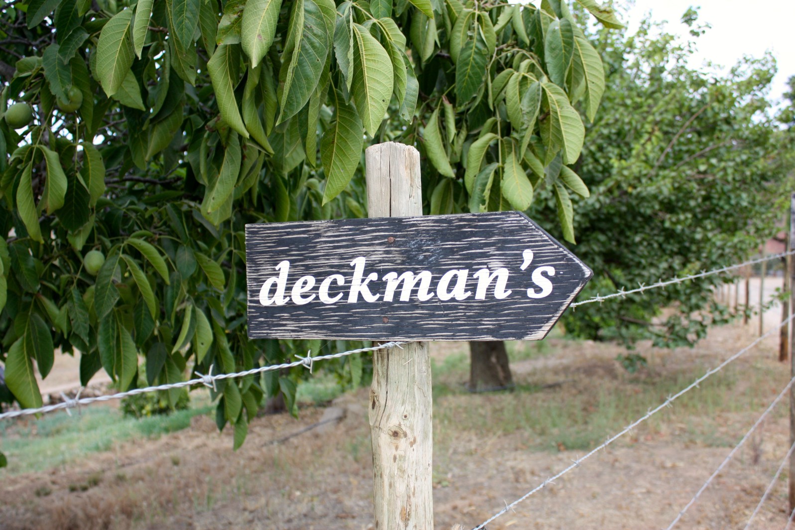 Deckman’s en El Mogor & Mogor Badan Winery | El Valle de Guadalupe ...