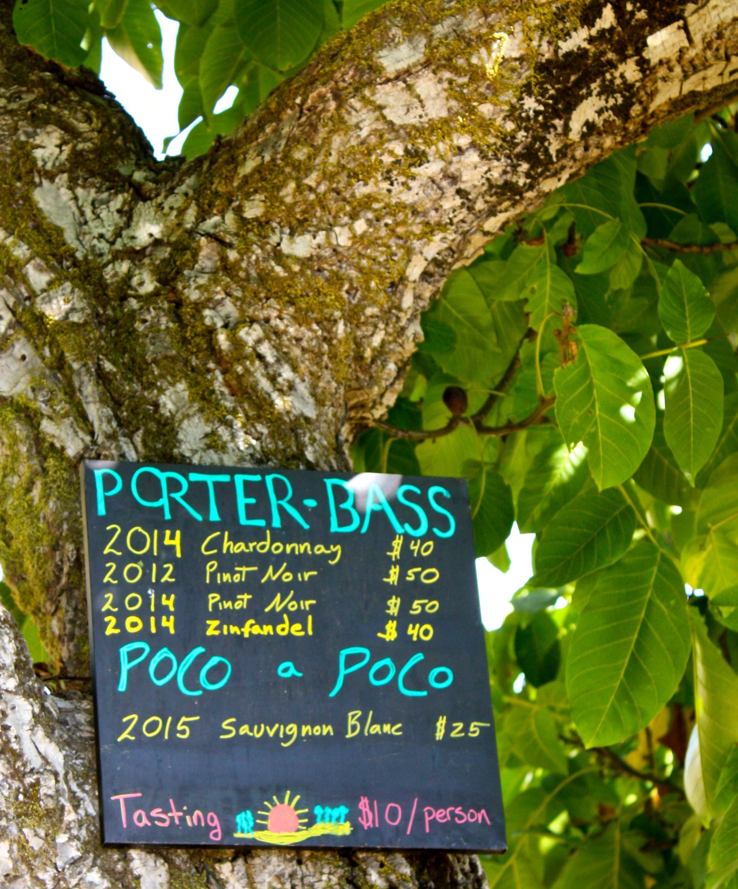Porter-Bass Estate Winery | Guerneville – Sonoma, CA – Wine-ding Road