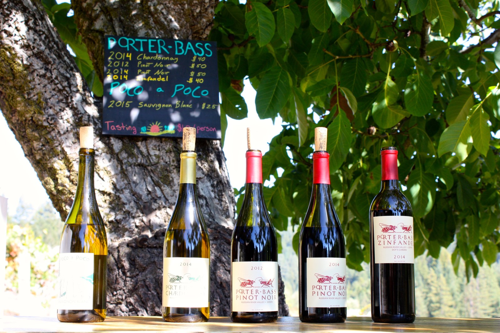 Porter-Bass Estate Winery | Guerneville – Sonoma, CA – Wine-ding Road