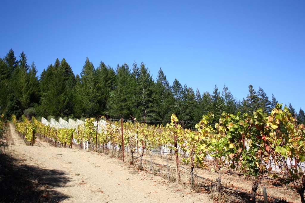 Porter-Bass Estate Winery | Guerneville – Sonoma, CA – Wine-ding Road
