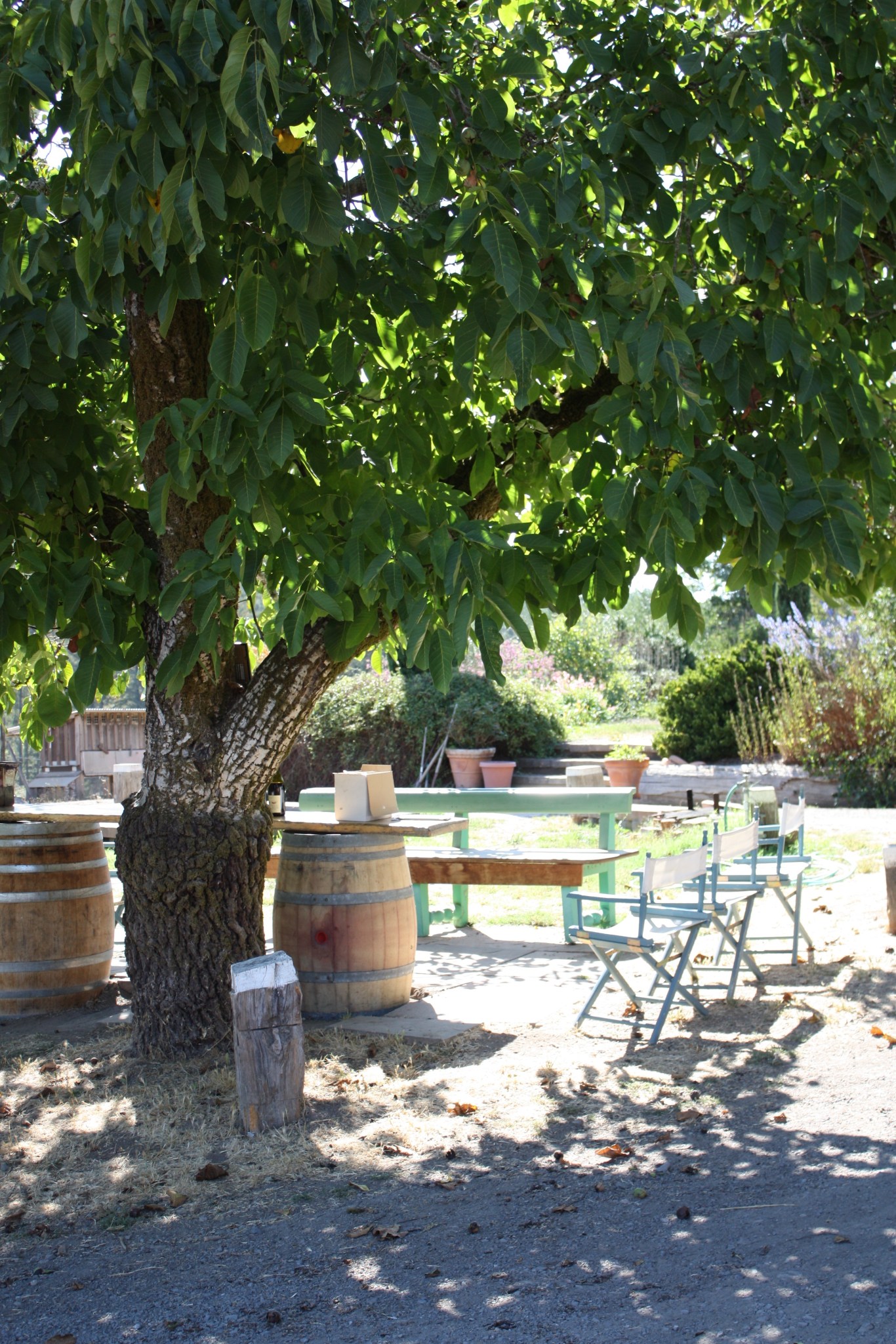 Porter-Bass Estate Winery | Guerneville – Sonoma, CA – Wine-ding Road