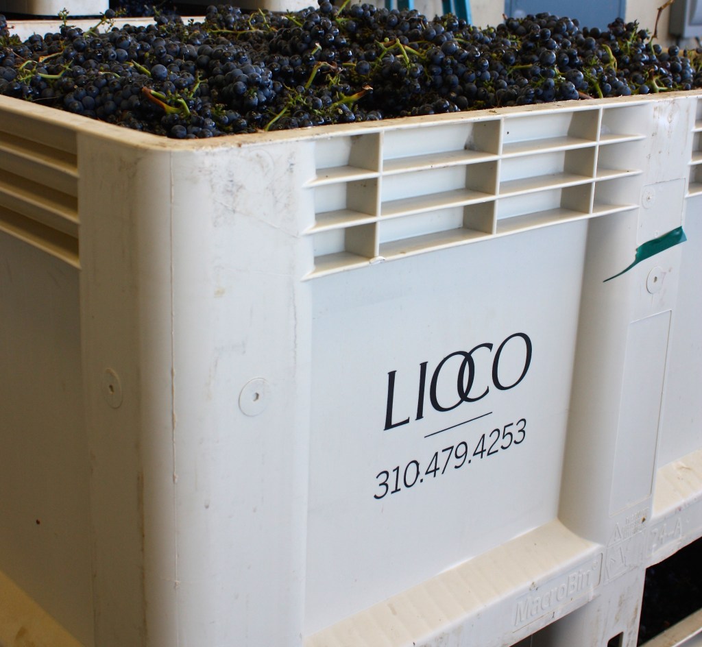 Wine-ding Road – Dedicated to the discovery & advocacy of great wines