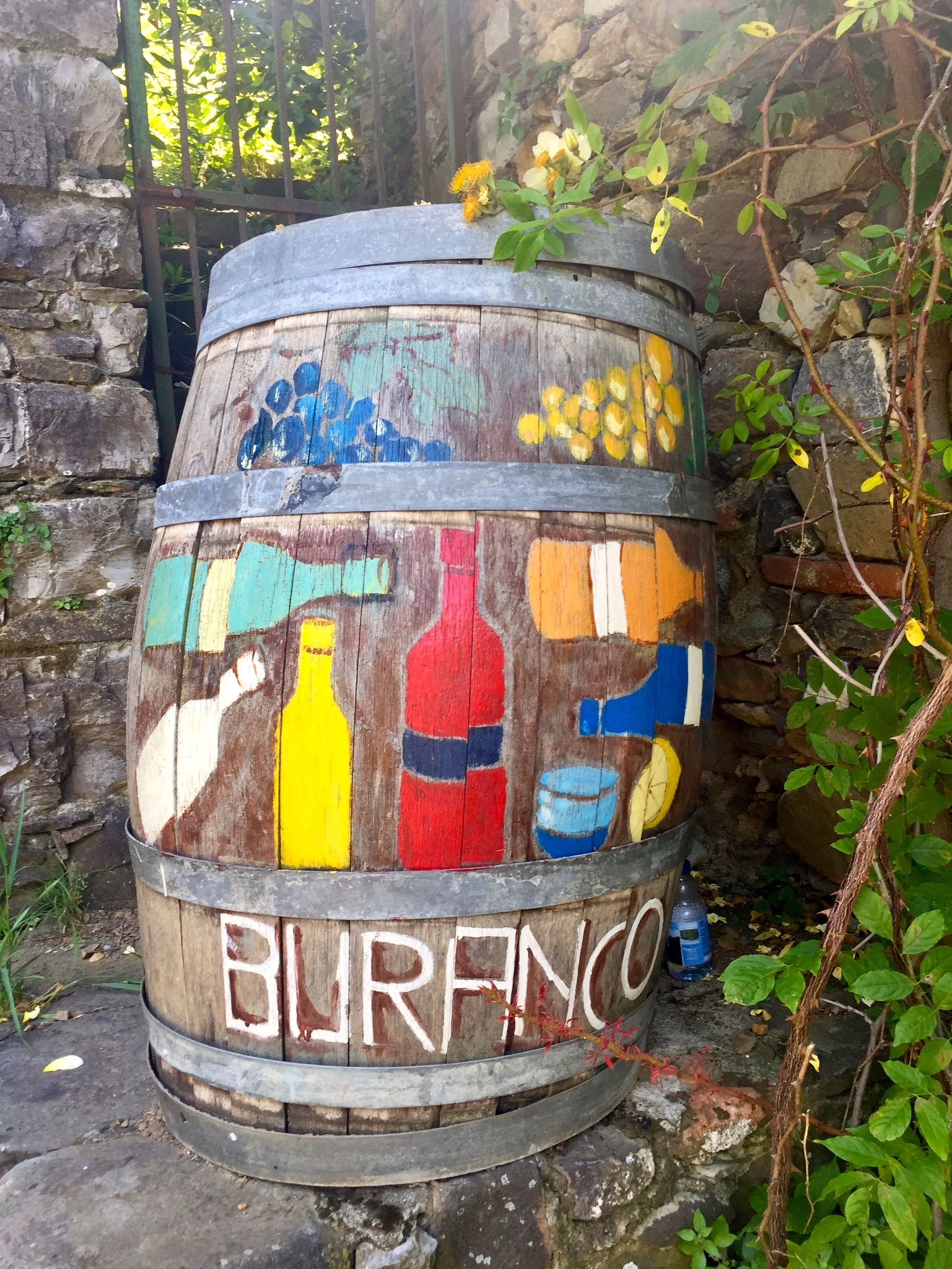 The Wine-ding Roads of Italy: Part 1 – Buranco Winery | Monterosso al ...